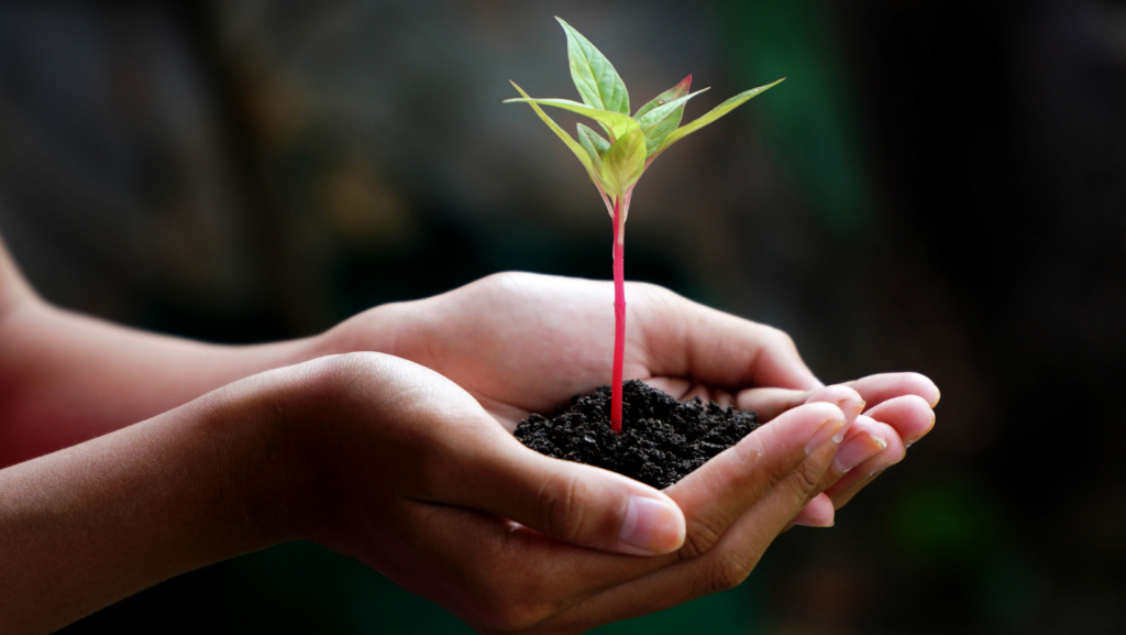 Leadership Series – Right Use of Power Institute