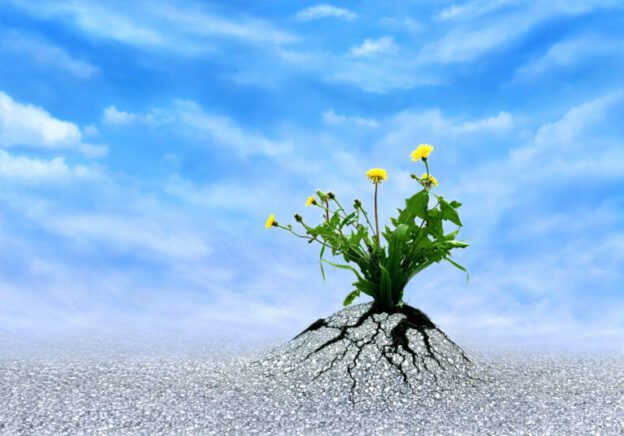 Right Use of Power Institute